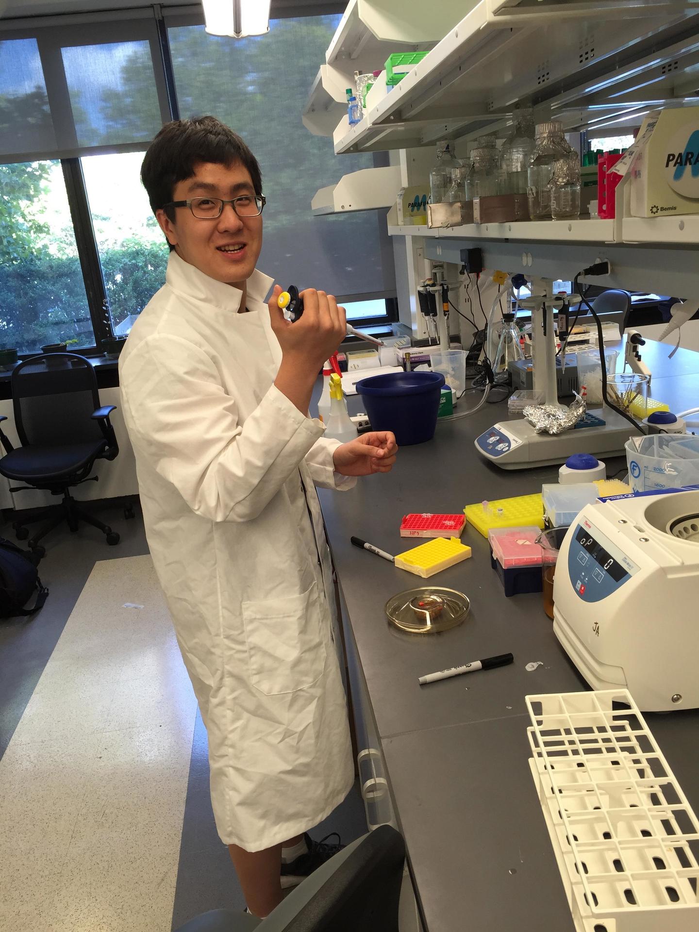 Setting up the Lab | Avalos Research Group